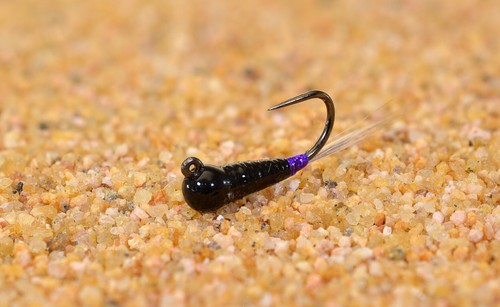 6 Flies - Tungsten Black/Purple Perdigon Jig Head Fly - Euro nymph ...