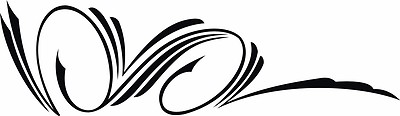 CUSTOM GRAPHIC SCROLL PINSTRIPING DECAL # 23 7.75 X 2.25 | eBay