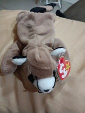 Ringo the Raccoon - Beanie Babies - Beaniepedia