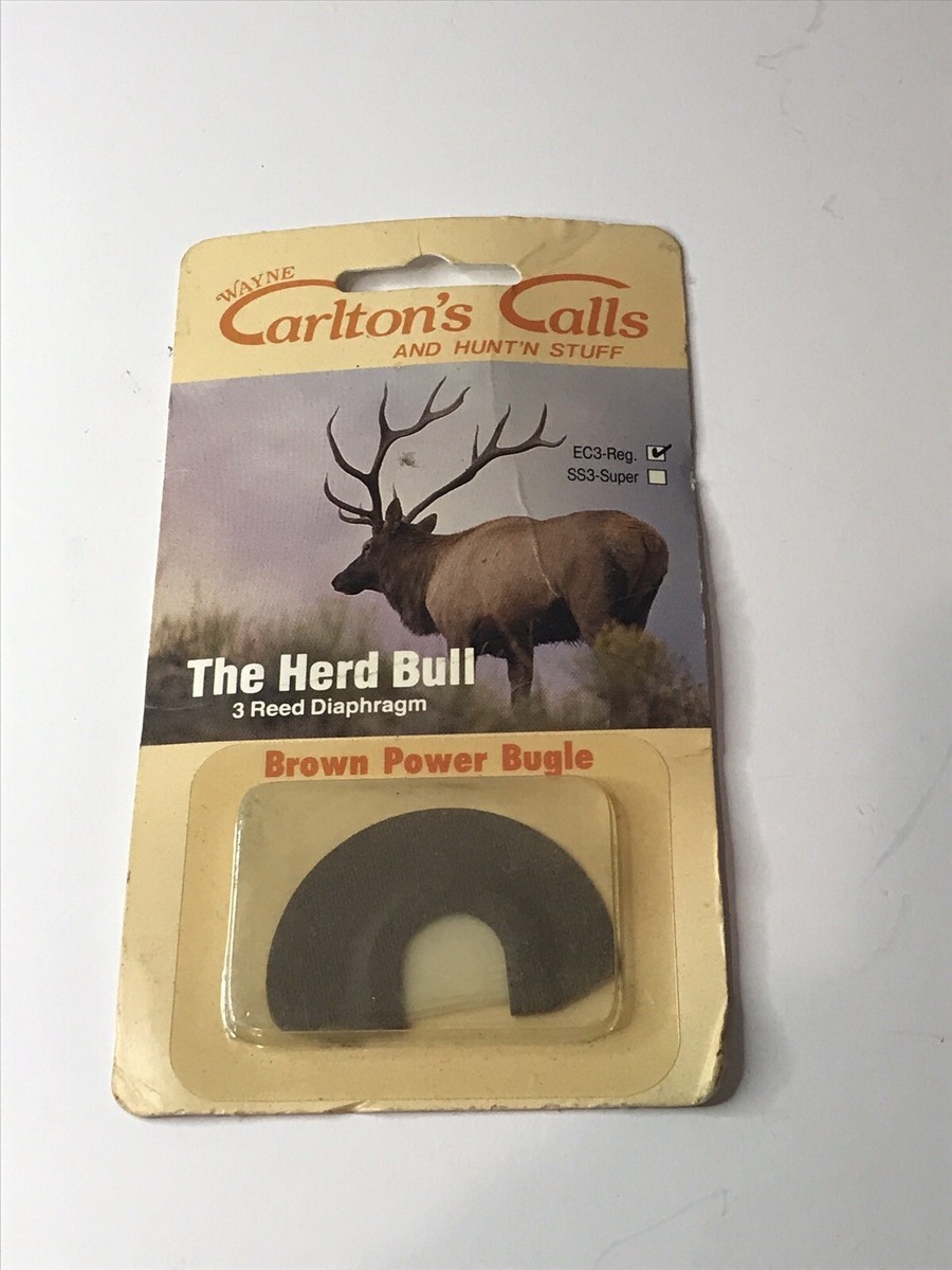 Elk Bull Call