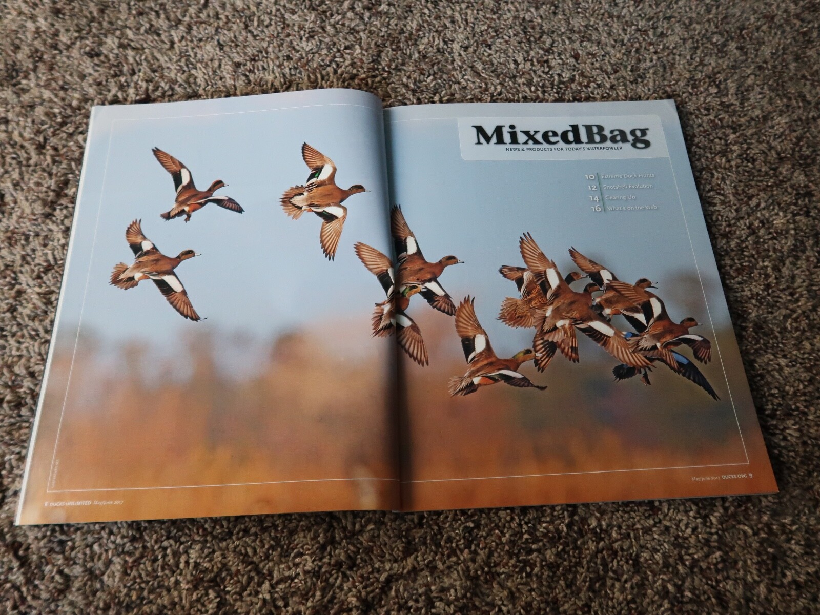 📌 LOT of 3 vintage Ducks Unlimited bird hunting magazines mallards guns ...