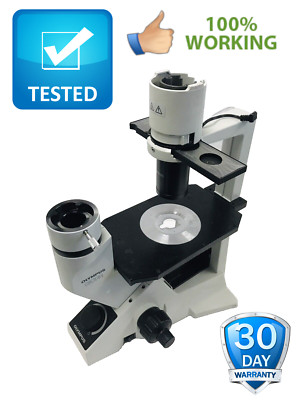Olympus CKX41 Inverted Phase Contrast Microscope Incomplete Tested ...