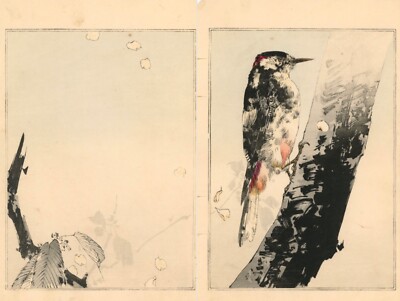 ☆EXQUISITE☆ 1st Edition Watanabe Seitei Woodblock Print ☆SEE ...