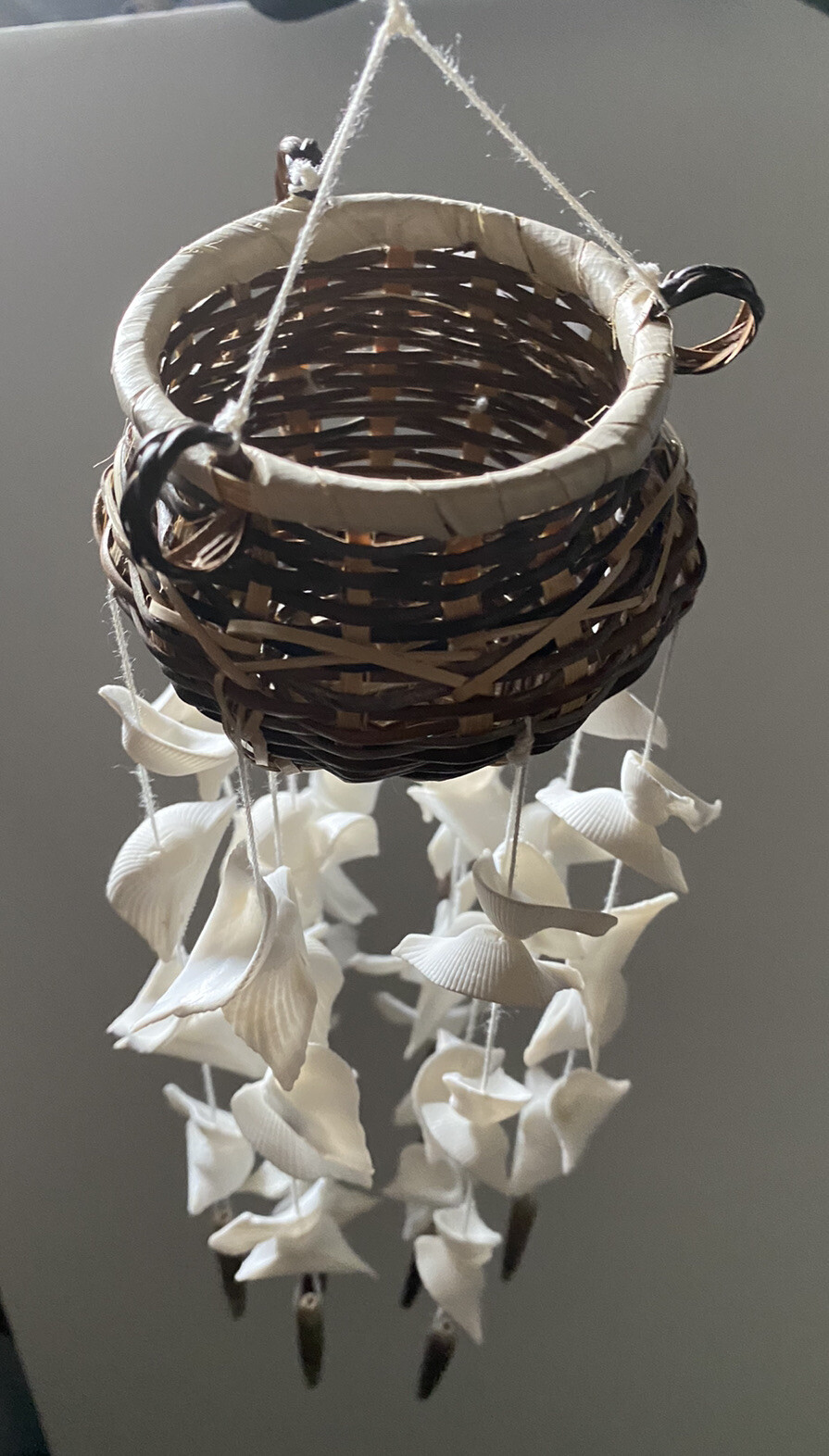 FIJI SEA SHELLS WIND CHIMES FIJI HAND CRAFTS BRAND NEW FREE SHIPPING | eBay