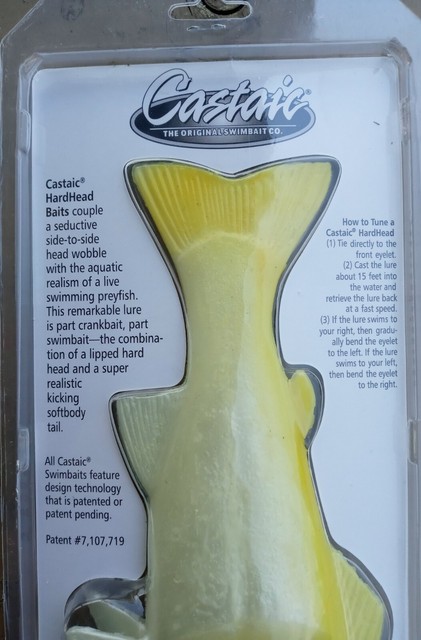 Castaic Hard Head SwimBait 12" slow sinking Lemon Shad Lure Realistic ...