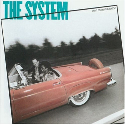 The System - Don t Disturb This Groove / NM / LP, Album, Promo | eBay.de