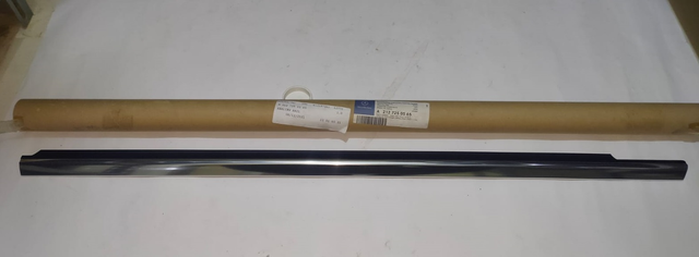 MERCEDES BENZ E-class W212 Door Belt Molding 2127250565 for sale online ...