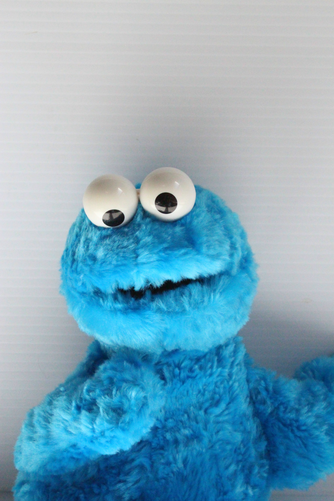 Cookie Monster stuffed animal, plush Cookie Monster, Sesame Street toy ...