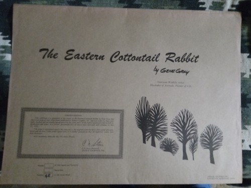 Gene Gray Vintage 1970 Eastern Cottontail Rabbit Print- Signed Art ...