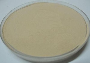 CALCIUM BENTONITE POWDER 25KG SACK Smectite DETOX CLEANSING HEALING ...