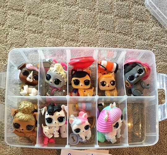 torage Organizer Case Lol Surprise Dolls Not Included | eBay