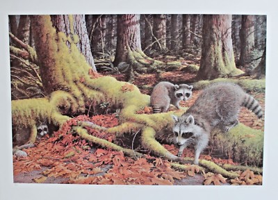 Marla Wilson Hand Signed Numbered Limited Edition Forest Depths 1988 | eBay