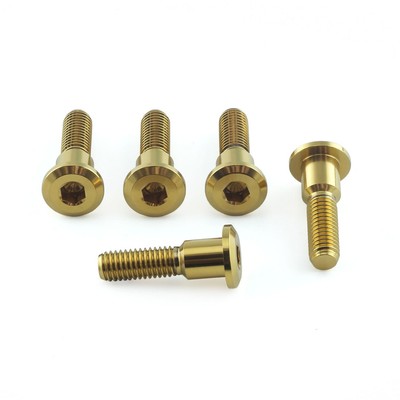 Stainless Steel Disc Bolt To Fit Suzuki M8 x 33mm x 5 Gold | Pro-Bolt ...