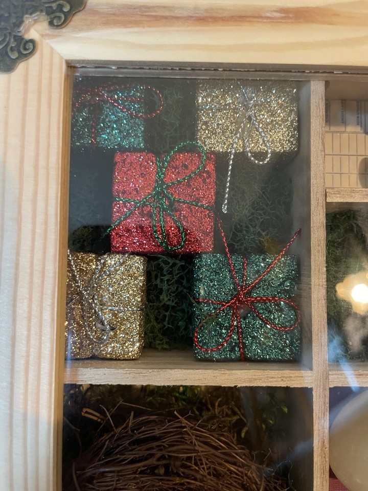 Oddities & Curiosities Shadow Box Display Dark Academia Morbid Decor ...