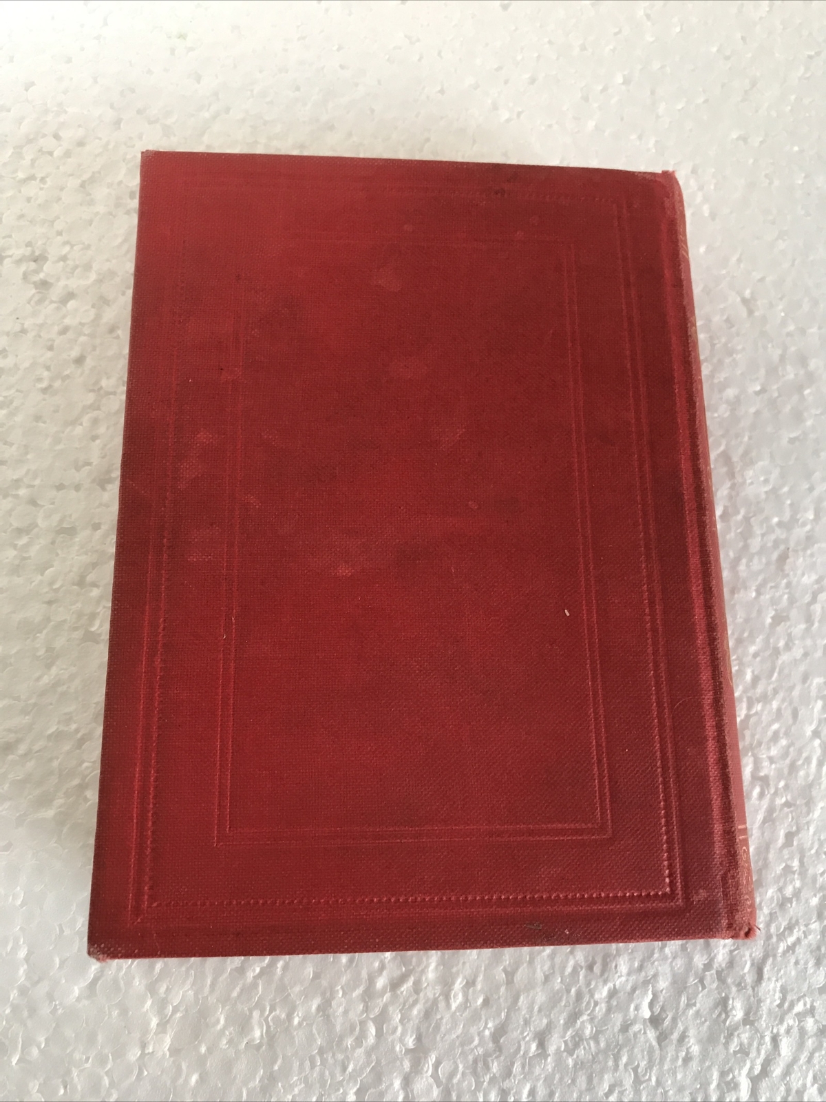 German Forget Me Not Christliches Vergissmeinnicht 1900 Daily Scripture ...