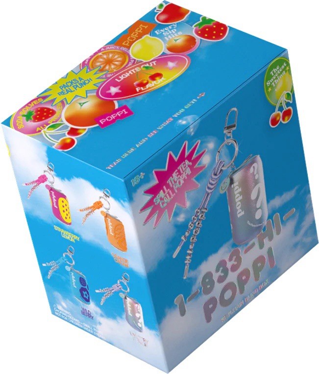 NEW Unopened Poppi Mystery Keychain Blind Box | eBay