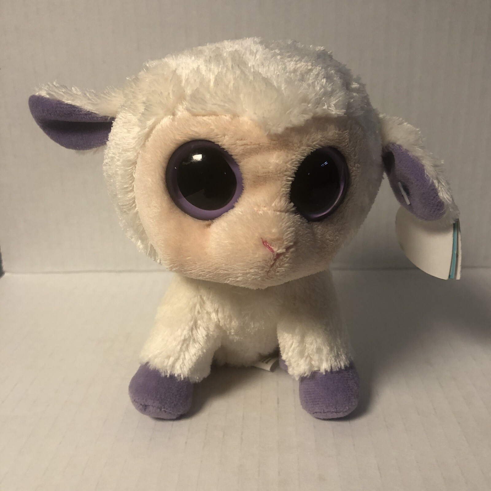 TY BEANIE BOOS CLOVER 6" BEAN BAG PLUSH TOY | eBay