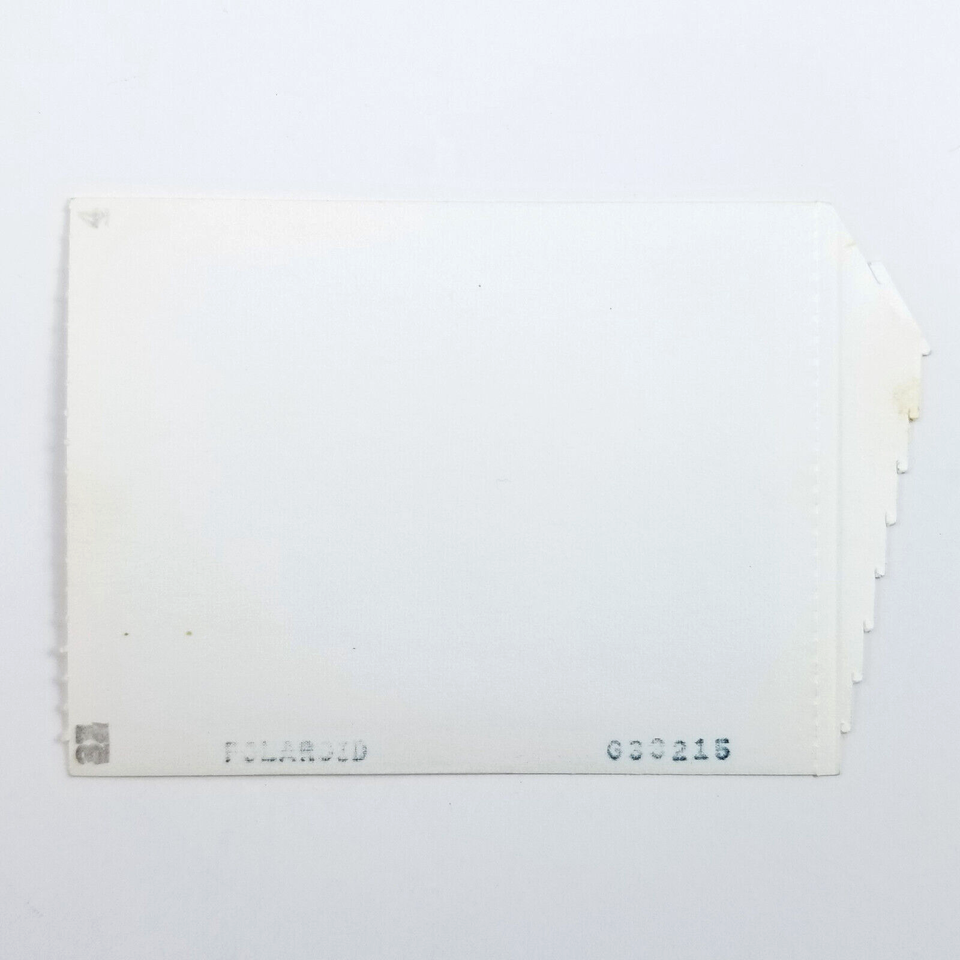 Vintage Halloween Photo Scary Dinner Guest Creepy Mask Costume Polaroid ...