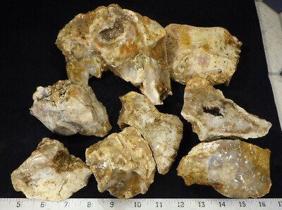 rm69 - OLD STOCK- Savannah River Agate - Georgia - 7.7 lbs FREE US ...