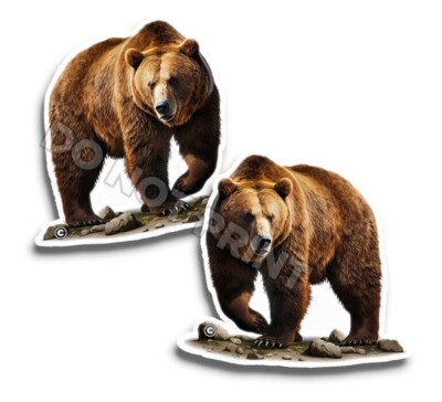 BEAR Vinyl Stickers Grizzly NATURE Great Outdoors ANIMAL DECALS C35001 ...