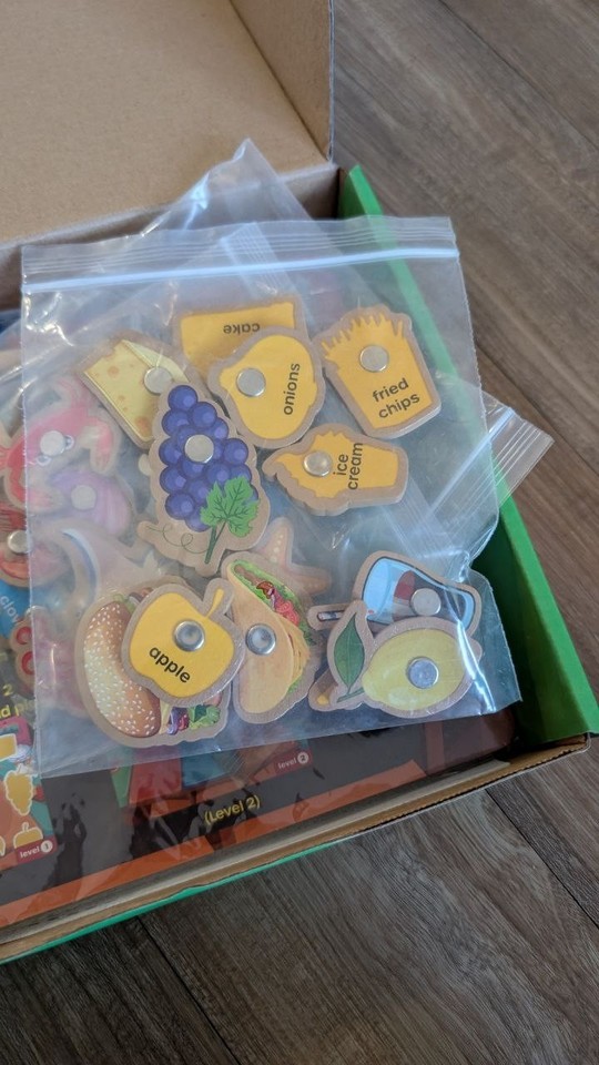 Game for Kids - Wooden Magnetic Sight Word Fishing Game 3+ | eBay