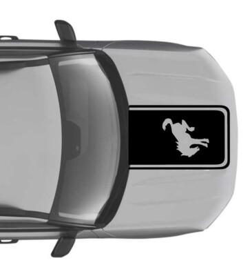 2021+ FOR FORD BRONCO SPORT Hood Star Vinyl Graphic Decal MATTE BLACK ...