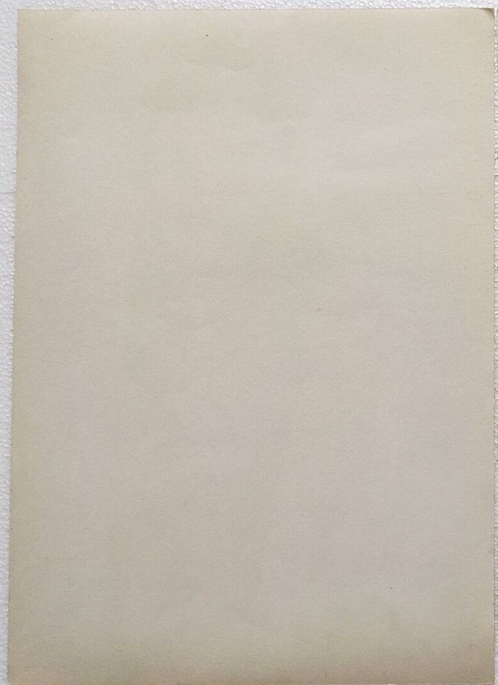 Bollywood Actor Sonali Bendre Rare Old Original Poster India 30 cms X ...