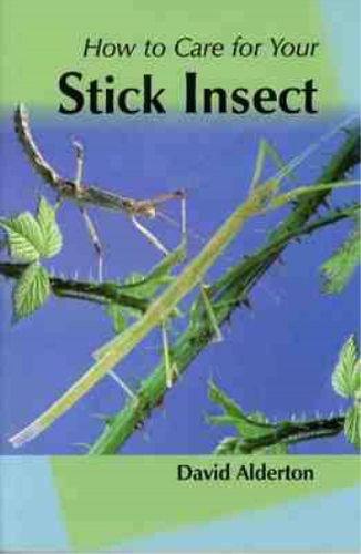 How to Care for Your Stick Insect, David Alderton, Used; Very Good Book ...