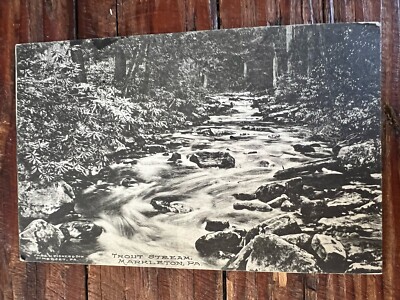 Vintage 1910’s Postcard - Trout Stream Markleton Pennsylvania | eBay