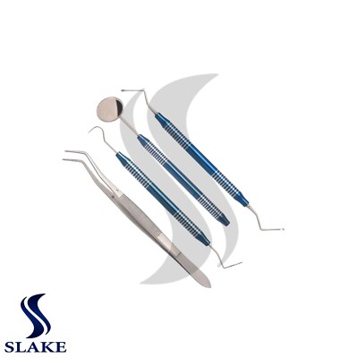4 Pcs Basic Dental Set Mirror Explorer College Plier Lucas Set Dental ...