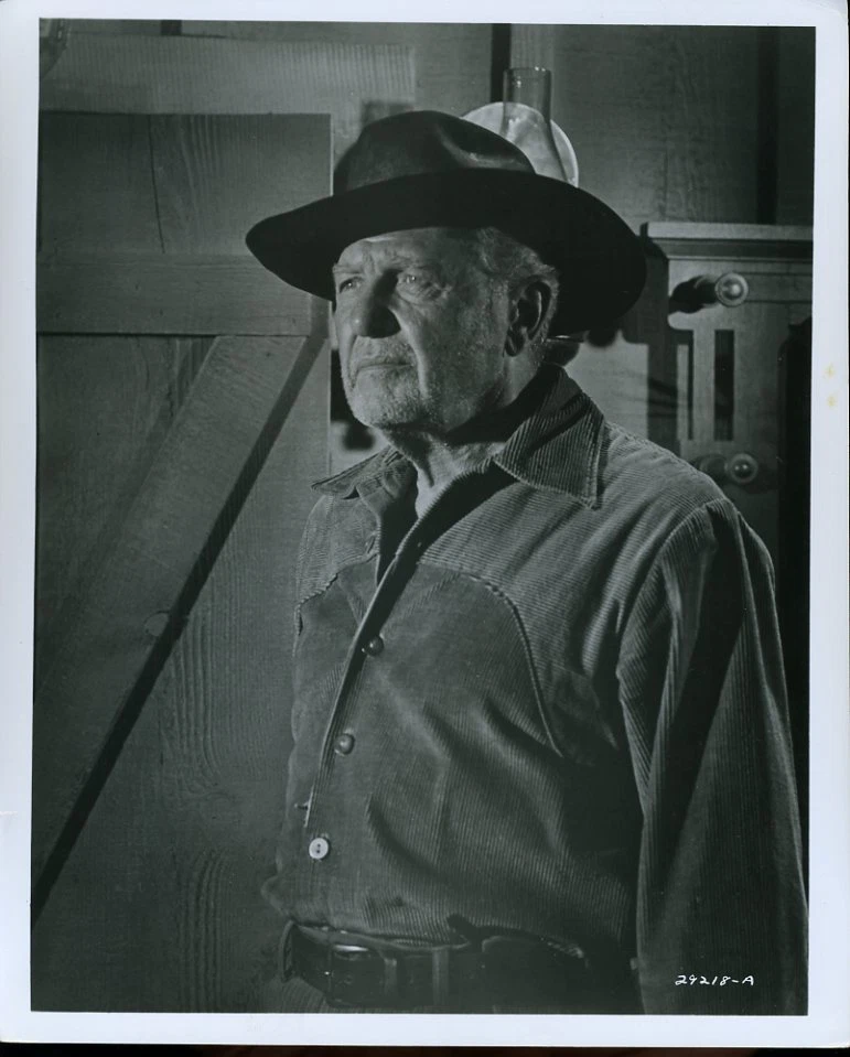 Ralph Bellamy For Tv Series