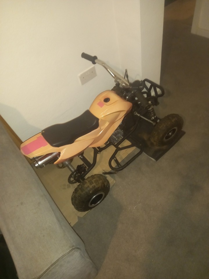 Kids 50cc Mini Quad Bike Engine Project 2-Stroke, Off-Road, Petrol ...