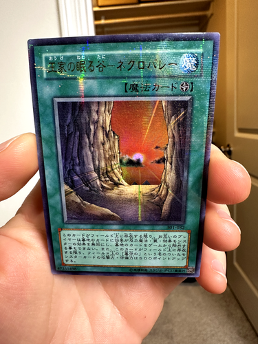 Yu-Gi-Oh yugioh Necrovalley 301-032 Ultra Parallel Rare Japanese | eBay