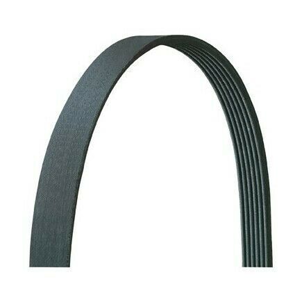 Dayco 5071013DR V Ribbed, Drive Rite Traditional | eBay