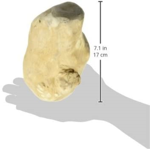 Ware Manufacturing 2 Pack of Gorilla Chew, Large, Long Lasting Wood ...