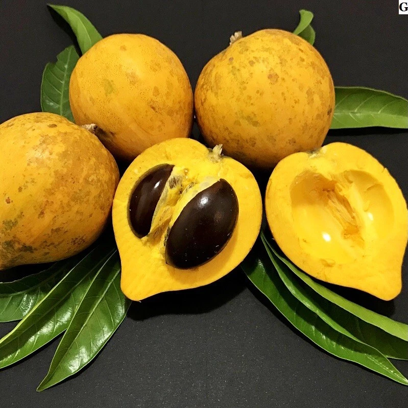 Tisa Fruit