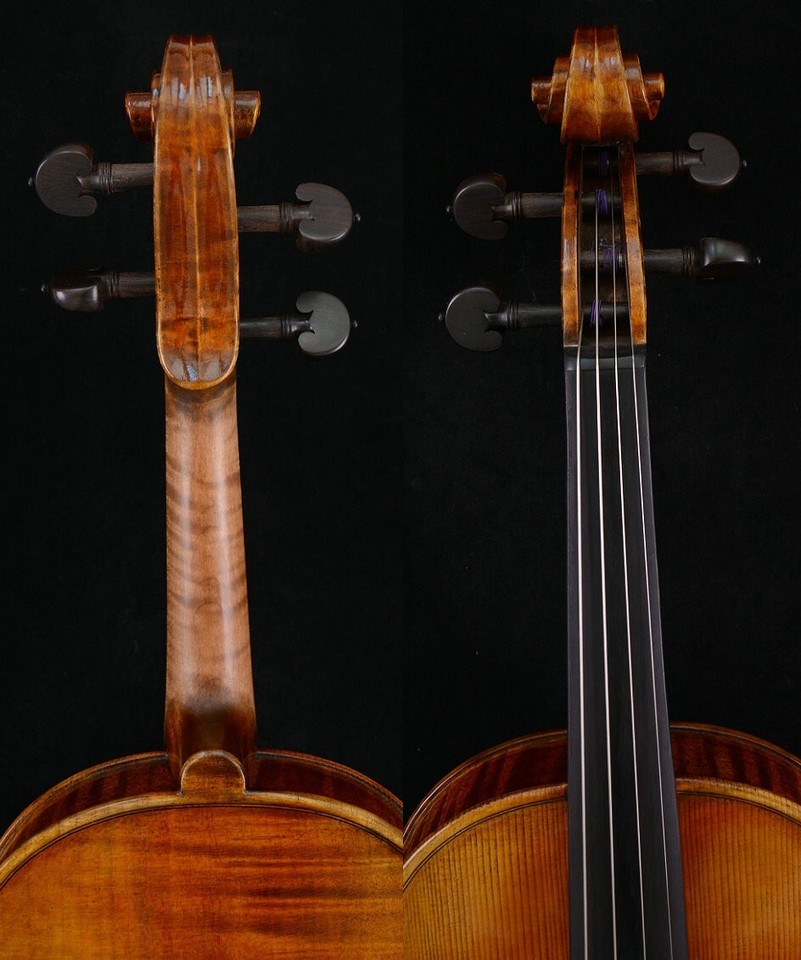 Rare Violin Master Violin Guarneri Violin 1-PC Back No. W-098 | eBay