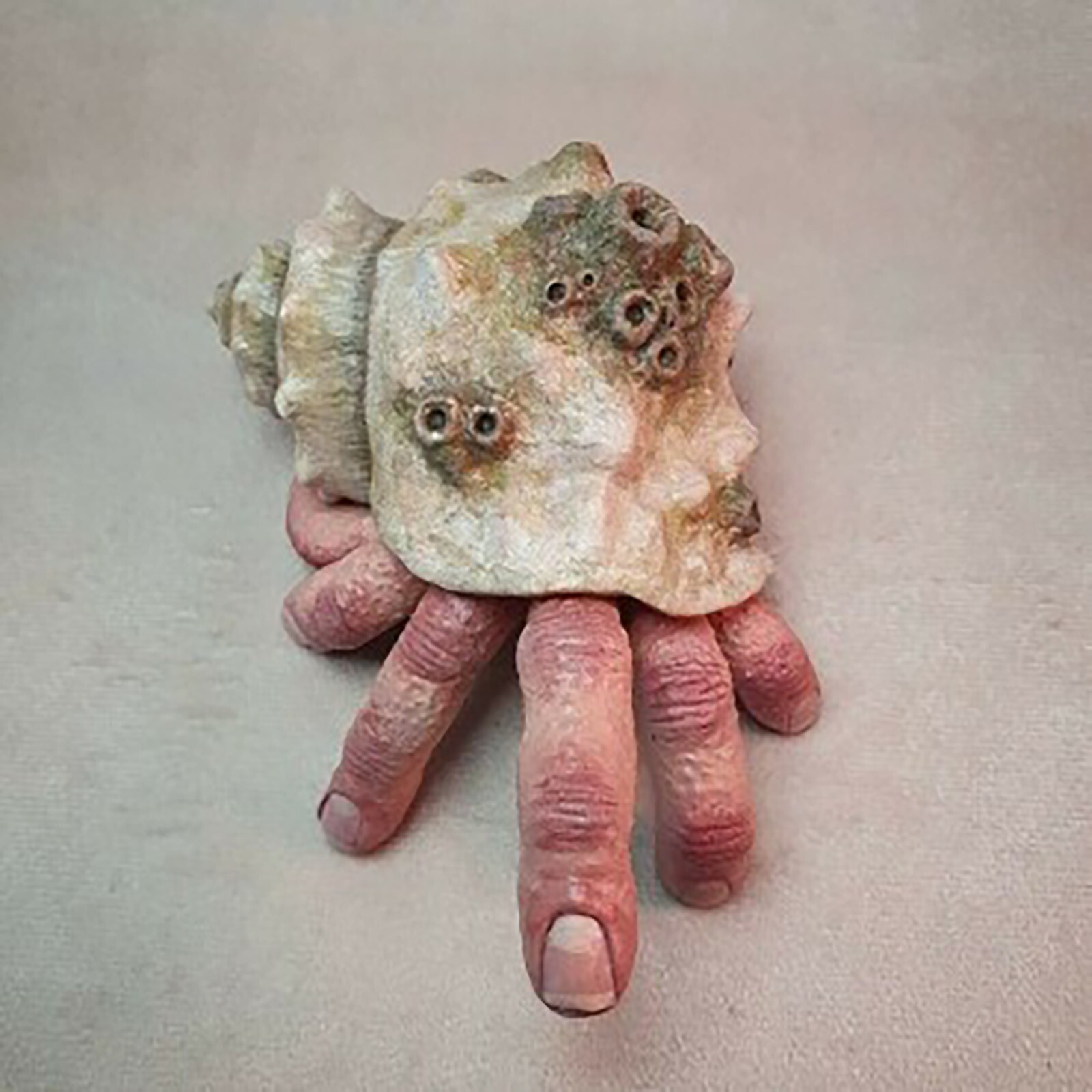 Fingercrab Creepy Weird Realistic Horror Resin Model Statue Resin ...