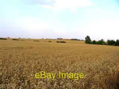 Photo 6x4 Towards Shingle Hall Sawbridgeworth c2006 | eBay UK