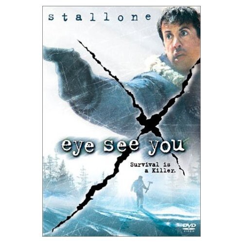 Eye See You (DVD, 2002) WF3 DISC ONLY NO TRACKING 43396099593| eBay