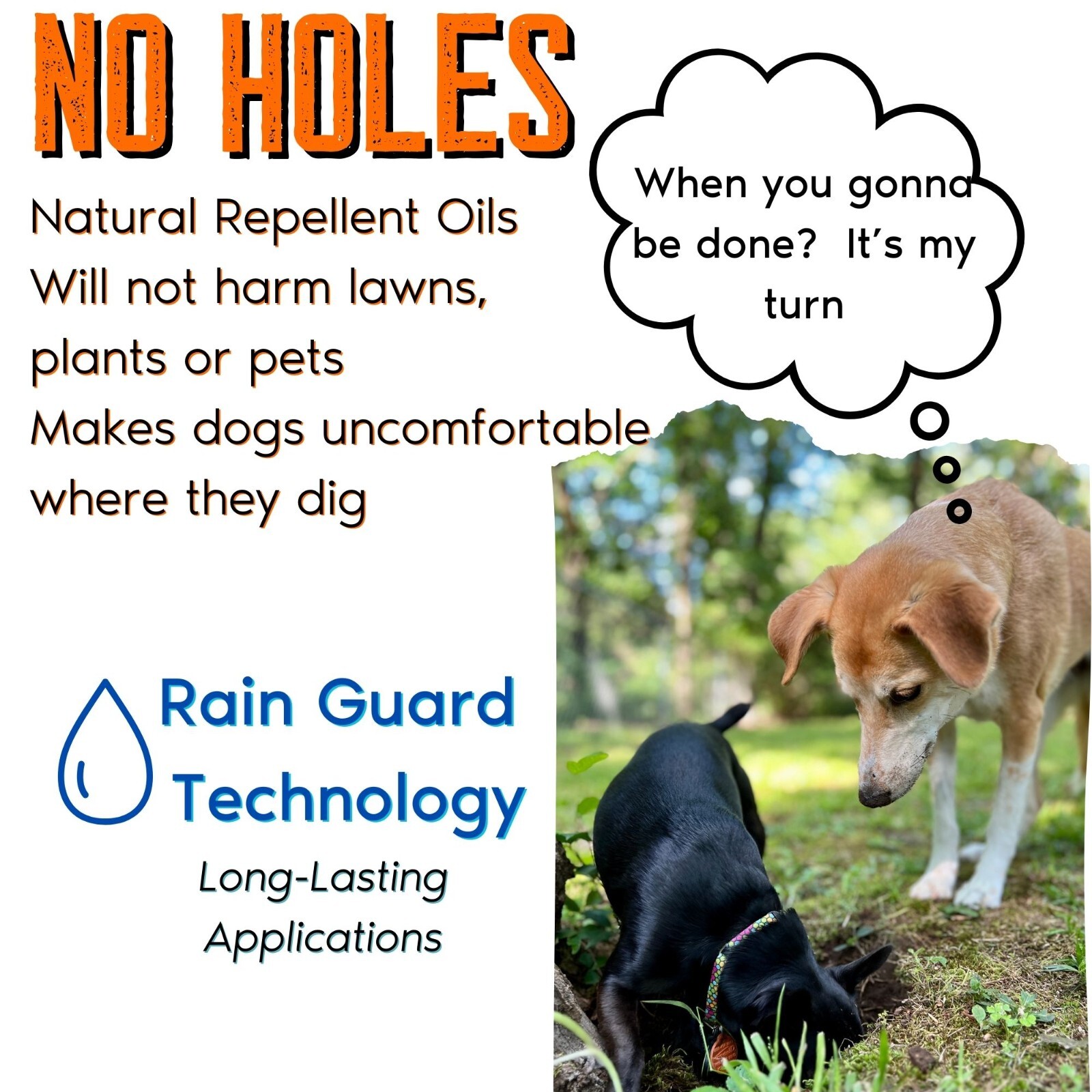 Zone Protects No Holes 32oz spray, stops dogs digging in yard/garden | eBay