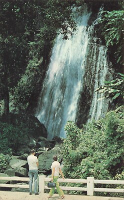 Postcard Puerto Rico El Yunque Rain Forest Water Fall Tropical ...