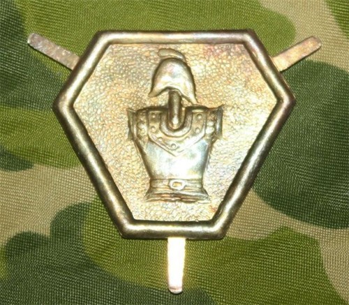 insigne du corps expéditionnaire français en Italie , régiment du génie ...