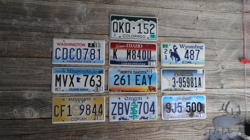 10 License Plates from different states Mixed lot of license plates ...