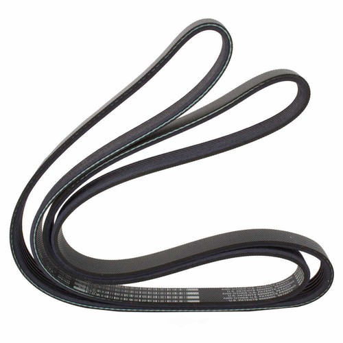 Main Drive Multi Rib Belt For 2015-2018 Ford F150 5.0L V8 2016 2017 ...