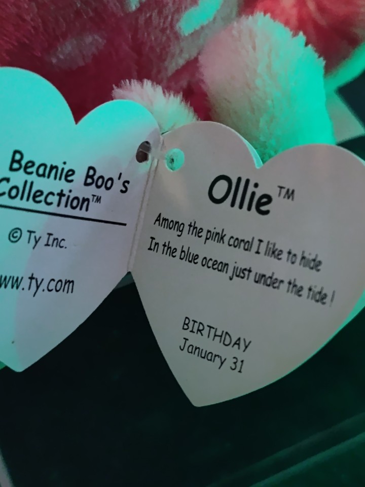 TY Beanie Boos OLLIE - purple tag | eBay