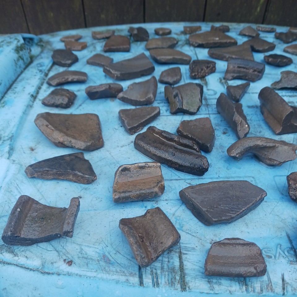 Roman Pottery Greyware Shards #14 | eBay UK