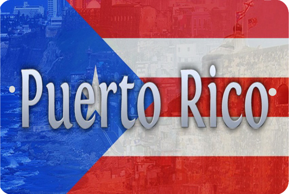 PUERTO RICO Sign 8 x 12 Patriotic Military Boricua Emblem Sign #1 | eBay