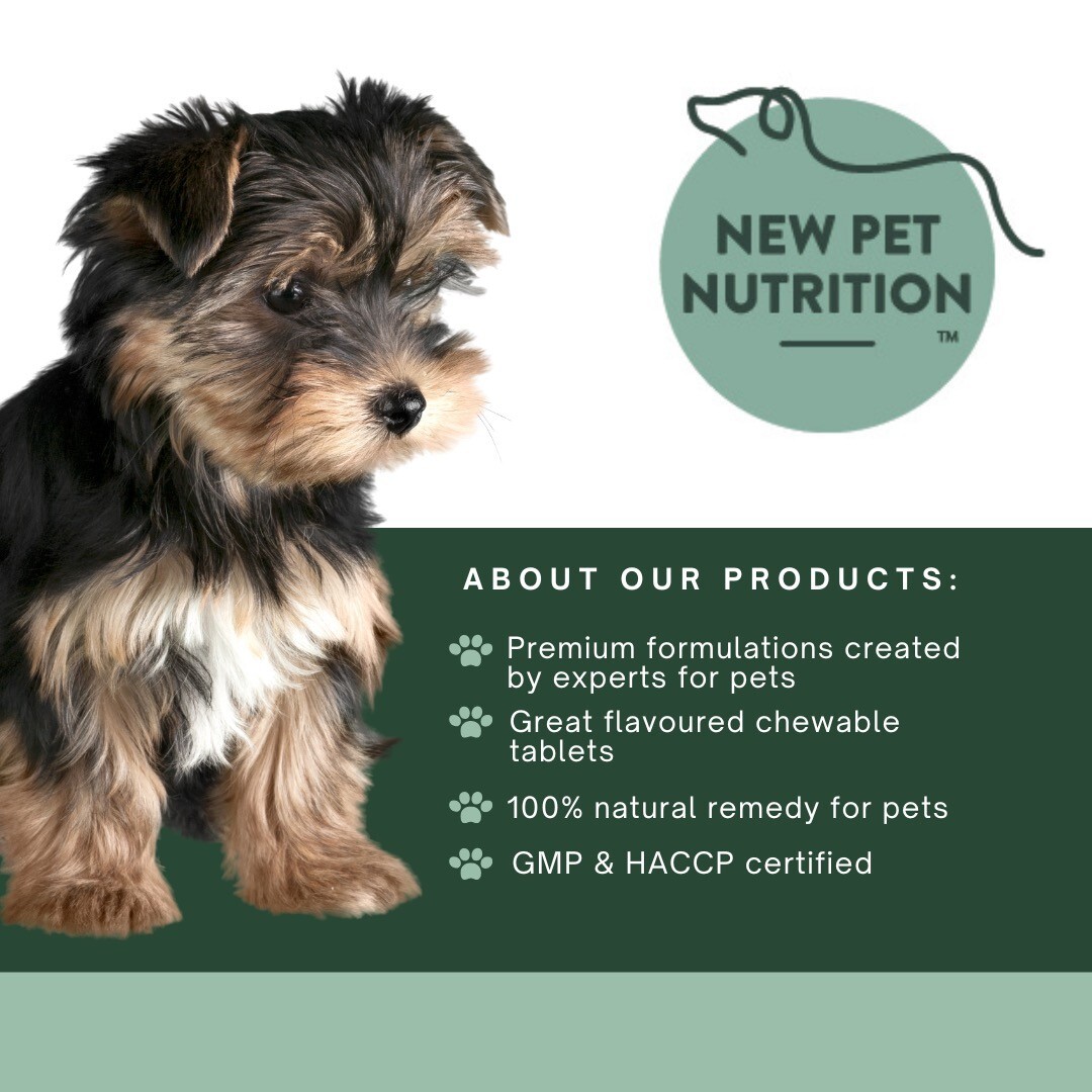 60 Chewable Joint Aid Glucosamine Chondroitin MSM Green Lipped Mussel ...