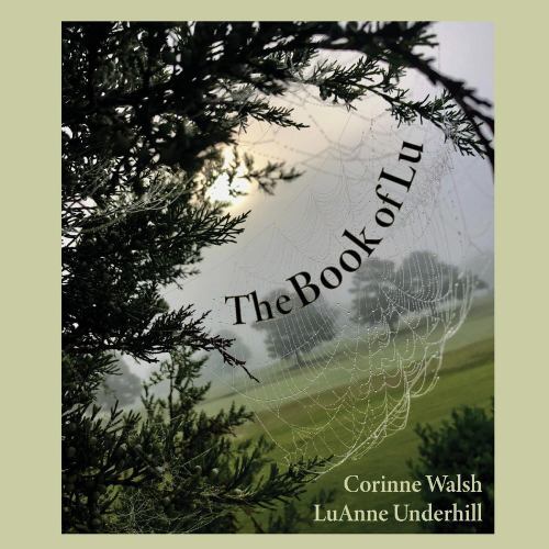 The Book of Lu : A Journey in Poems with Pictures by Corinne Walsh (2022, Trade Paperback) for ...